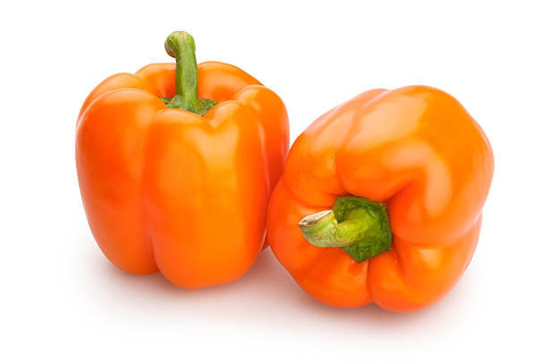 10 Orange Sweet Bell Pepper Seeds HW94001 - Etsy