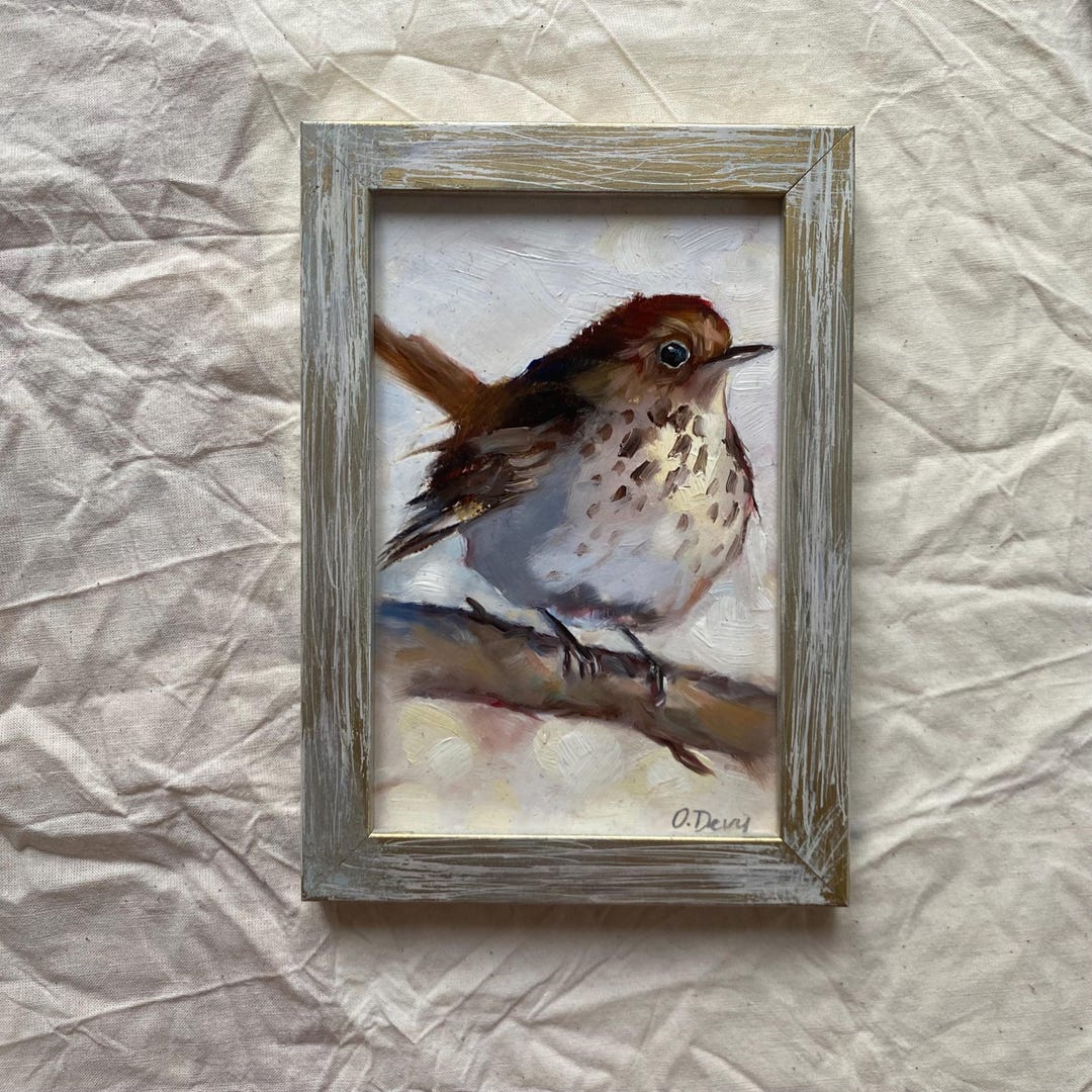 Original Oil Painting of a Thrush Bird Hand Painted Bird 4x6 Inch ...