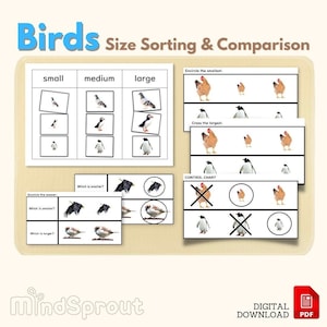 Small Medium Large Size Sorting Activity Montessori Sensorial ...