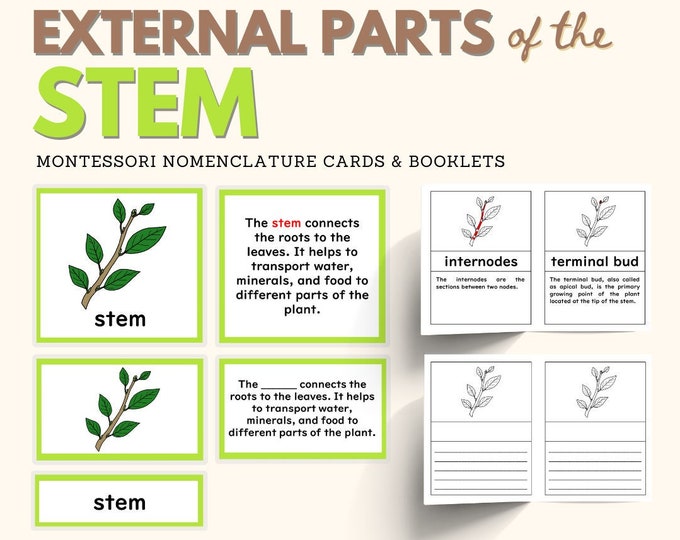DIGITAL Printable PDF Download to Make Montessori Botany Felt - Etsy