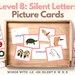 Montessori Language CVC Words Phonetic Reading Level 1 RED Picture ...