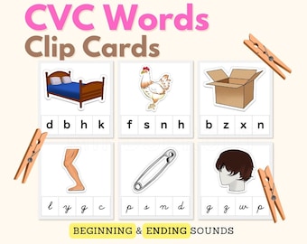 CVC Ending Sounds Clip Cards montessori Pink Series Language Activity ...