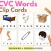 Kindergarten CVC Words Beginning and Ending Sounds Montessori Language ...