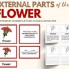 Parts of the FLOWER Montessori Botany Unit Study 5-part Card Definition ...