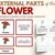 Parts of the FLOWER Montessori Botany Unit Study 5-part Card Definition ...