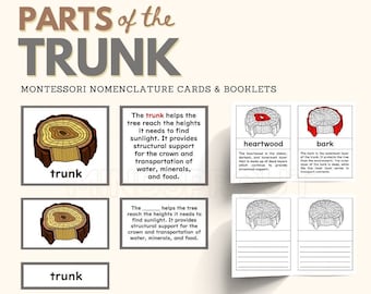 Parts of the TREE Montessori Botany Unit Study 5-part Card Definition ...