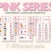 CVC Words Missing Vowel Montessori Language Pink Series Activity ...