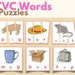 CVC Words Missing Vowel Montessori Language Pink Series Activity ...