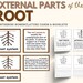 Parts of the ROOTS Montessori Botany Tree Root Unit Study 5-part Card ...