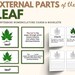 Parts of the LEAF Montessori Botany Unit Study 5-part Card Definition ...