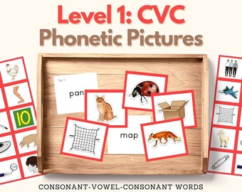 Phonetic Montessori Reading Cards - Etsy