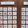 PLANT and ANIMAL Sorting Cards Game Montessori Activity Preschool ...