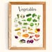 Educational Wall Art Montessori Chart Vegetables Poster Home Decor for ...