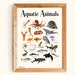 Educational Wall Art Montessori Chart Ocean Animal Poster Home Decor ...