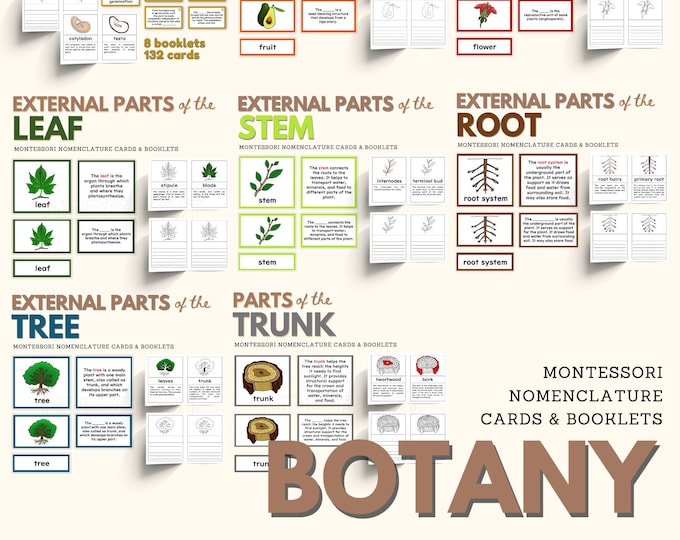 Parts of a Root Nomenclature Book Montessori Botany Printable ...