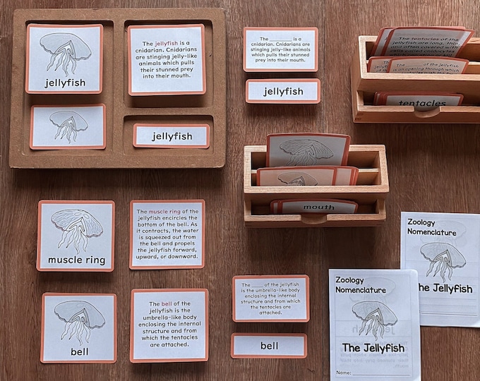 4 SEASONS • 36 Editable Montessori Cards • Flash Cards Nomenclature ...