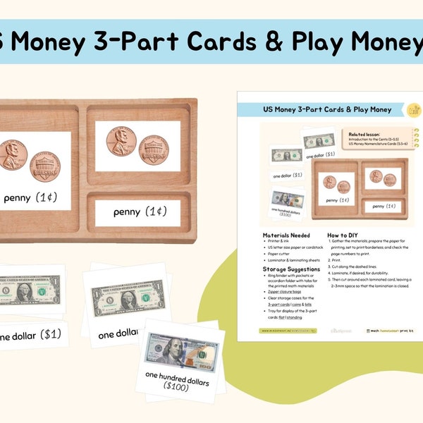 AMPHIBIAN Three Part Cards Montessori Nomenclature 3-part Classified ...