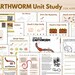 Earthworm Unit Study (for 3-9) Preschool Activities Unit Research for ...