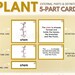 Parts of the FLOWER Montessori Botany Unit Study 5-part Card Definition ...