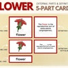 Parts of the FLOWER Montessori Botany Unit Study 5-part Card Definition ...