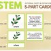 Parts of the STEM Montessori Botany Unit Study 5-part Card Definition ...