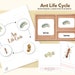 Life Cycle of Ants, Montessori Language Ants Life Cycle Material, Life ...