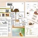 Snail Unit Study Fact File About Snail Research for Elementary Student ...