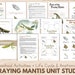 PRAYING MANTIS Unit Study Preschool Activity Life Cycle of Praying ...