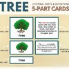 Parts of the FLOWER Montessori Botany Unit Study 5-part Card Definition ...