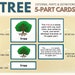 Parts of the TREE Montessori Botany Unit Study 5-part Card Definition ...