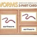 WORMS Three Part Card Montessori Nomenclature 3-part Classified Card ...