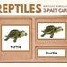 REPTILES Three Part Cards Montessori Nomenclature 3-part Classified ...