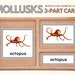 MOLLUSK Three Part Card Montessori Nomenclature 3-part Classified Card ...