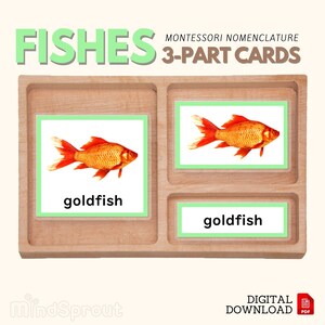 FISH Unit Study Three Part Card Montessori Nomenclature 3-part ...