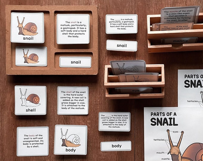 Parts of a Snail Nomenclature Book Montessori Zoology Printable ...