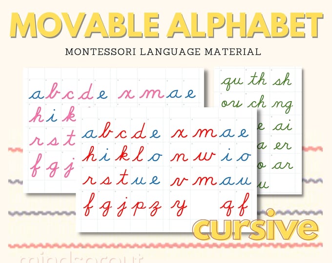 CURSIVE Small Movable Alphabet Letter Montessori Language Material ...