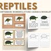REPTILES Zoology Unit Study Parts Turtle Montessori Nomenclature 5-part ...