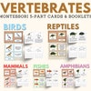 AMPHIBIAN Three Part Cards Montessori Nomenclature 3-part Classified ...