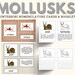 MOLLUSKS Zoology Unit Study Parts of Snail Montessori Nomenclature 5 ...