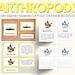 ARTHROPODS Zoology Unit Parts of Butterfly Montessori Nomenclature 5 ...