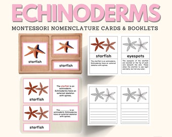 Zoology Printable Activity - Etsy