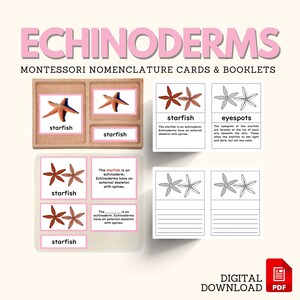 ECHINODERMS Zoology Invertebrates Study Parts of Starfish Montessori ...