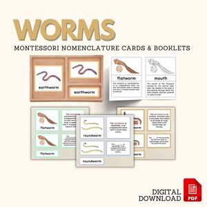 WORMS Zoology Unit Study Parts of Earthworm Flatworm Roundworm ...