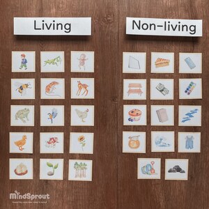LIVING and Non-living Sorting Cards Montessori Activity Preschool ...