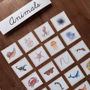 PLANT and ANIMAL Sorting Cards Game Montessori Activity Preschool ...