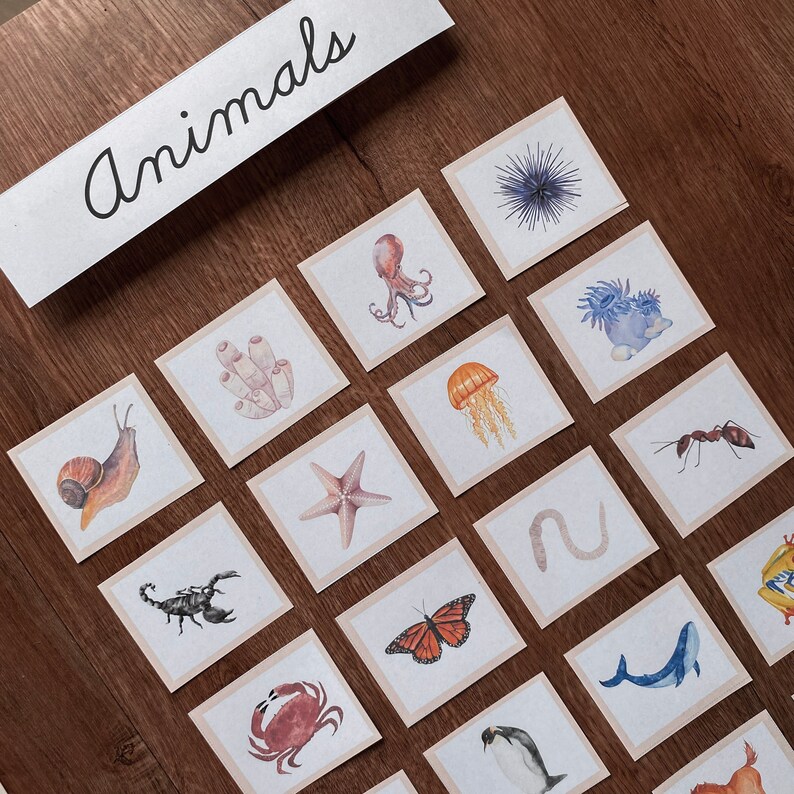 PLANT and ANIMAL Sorting Cards Game Montessori Activity Preschool ...