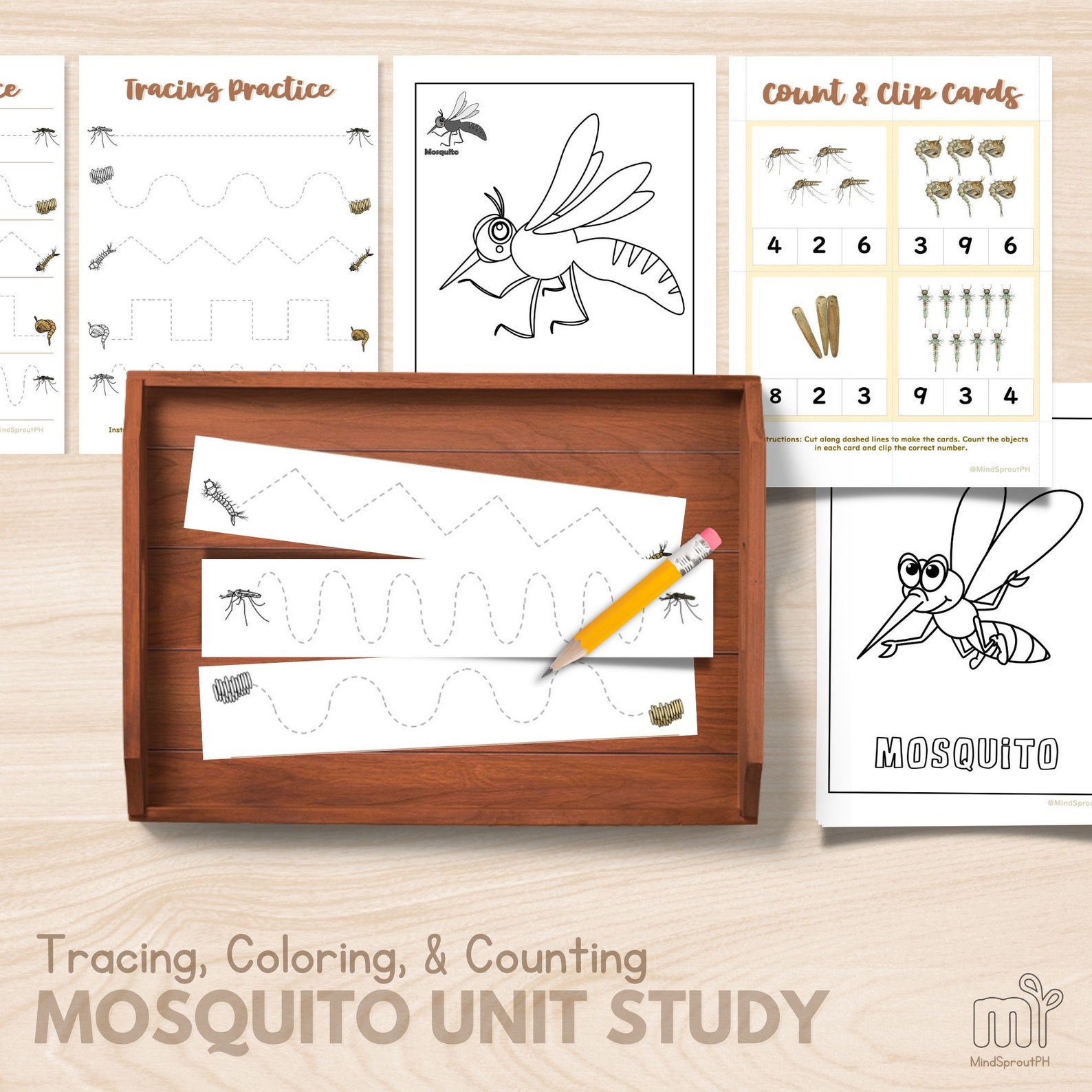 MOSQUITO Unit Study Bundle Preschool Activities Life Cycle of Mosquito ...