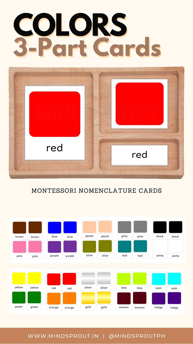 COLORS Montessori Nomenclature 3-part Cards Vocabulary Building ...