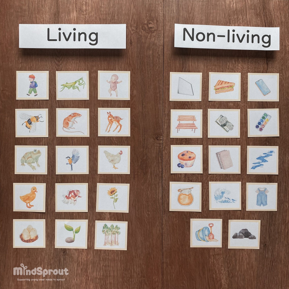 LIVING and Non-living Sorting Cards Montessori Activity Preschool ...