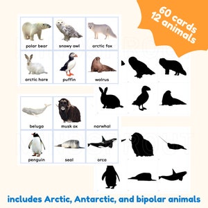 POLAR ANIMALS Montessori Nomenclature 3 Part Cards Shadow Matching Card ...